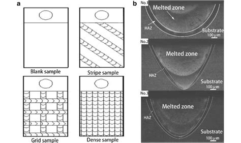 A Laser Biomimetic Coupling Model Sample And B Unit Shape Download