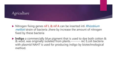Genetically Modified Microbes Pptx