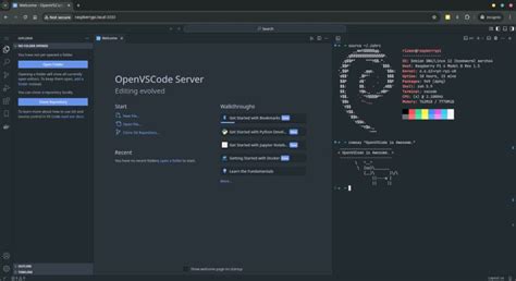 Rizwan Hasan On Linkedin Opensource Webdevelopment Vscode Linux Raspberrypi Devtools