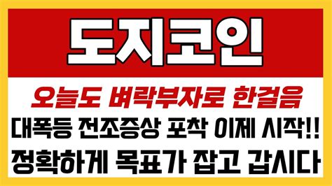 도지코인 대폭등 전조증상 포착 이제 시작 정확하게 목표가 잡고 갑시다 Youtube