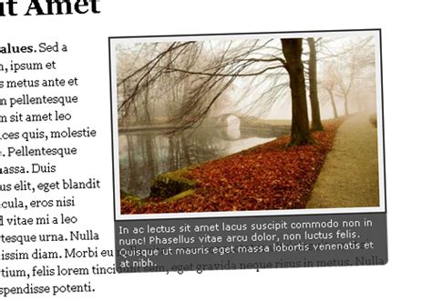 12 Jquery Image Hover Effects Examples And Plugins