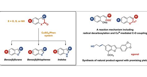 Copper Catalyzed Intramolecular Decarboxylative Csp2 Heteroatom Cross