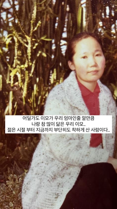 차영채 사랑앵무새 우리집 넷째 나리공주의 새로운 아지트가 생겼어요💛 이걸 뭐라 설명해야될지 예린이가 좋다면 된거겠죠 ㅎㅎㅎ Kyochon