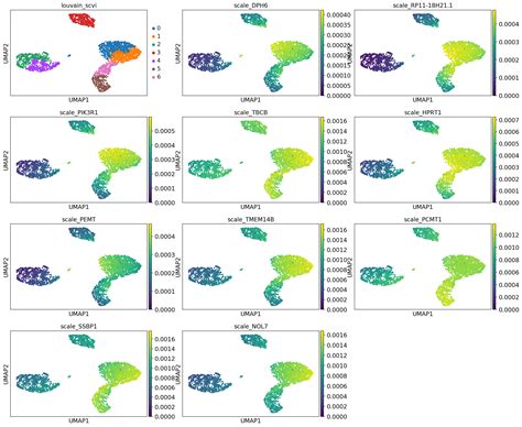6 clustering 3k pbmcs with scvi and scanpy — scvi 0 6 8 documentation