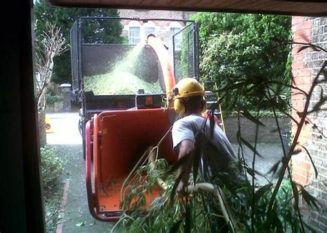 Best Tree Removal Services Glossop Tree Surgeon