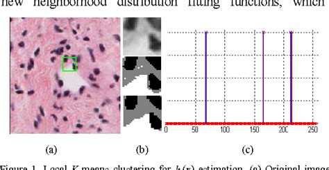 Figure 1 From Multiphase Level Set Model With Local K Means Energy For Histology Image