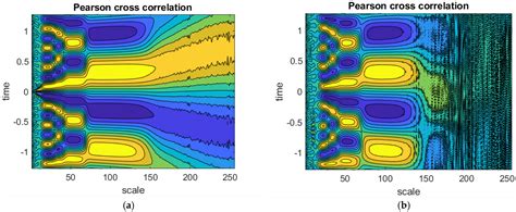 Wavelet Cross Correlation Signal Processing For Two Phase Flow Control