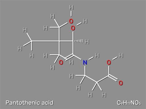 Pantothenic Acid Vector Images Over 260