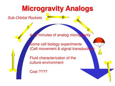 Ppt Cell Biology And Biotechnology In Space Powerpoint Presentation