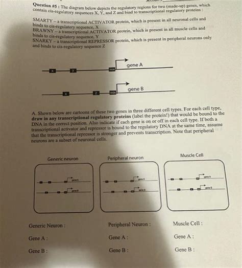 Solved Question 5 The Diagram Below Depicts The
