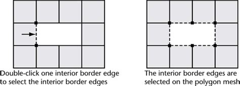Select Border Edges