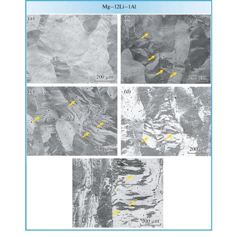 Optical Microstructures Of As Cast Alloys A Mg 12li And B Mg 12li