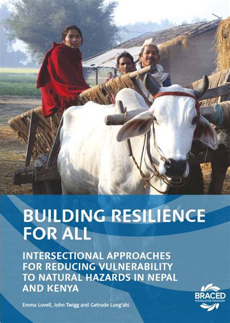 Building Resilience For All Unw Wrd Knowledge Hub