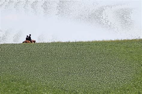 Burkart Benkert — Komma Und Paul