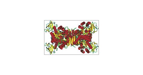 Structural Basis For Tumor Pyruvate Kinase M2 Allosteric Regulation And Catalysis Biochemistry