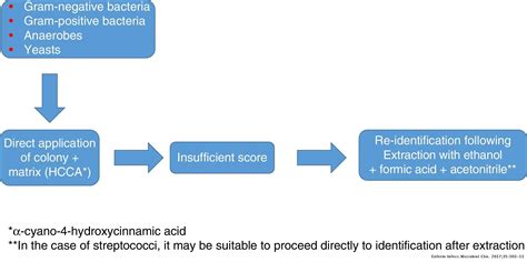 Fast Methods Of Fungal And Bacterial Identification Maldi Tof Mass Spectrometry Chromogenic