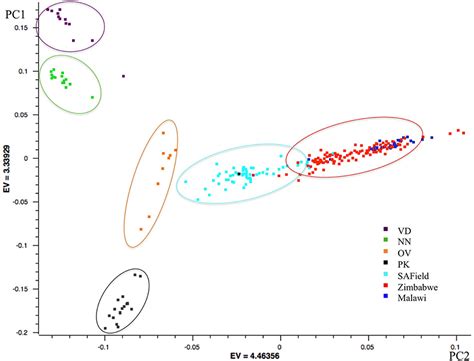 pca based clustering of populations population clusters are within the