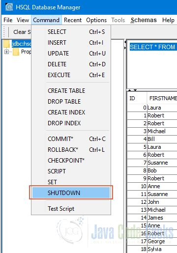 Jdbc Hsqldb Tutorial Java Code Geeks