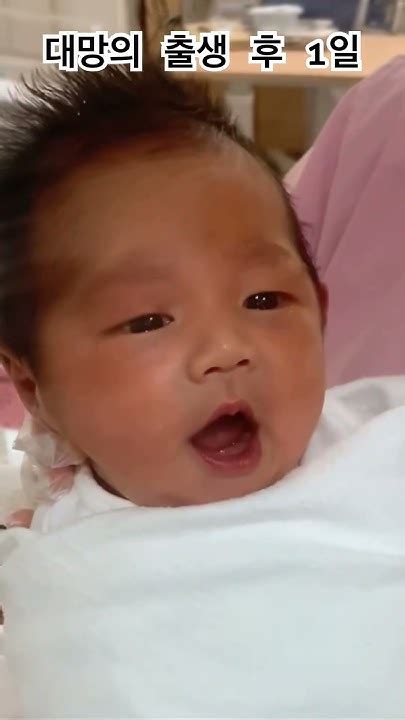 초음파 사진은 실물과 얼마나 닮았을까 초음파 실물 비교 Youtube