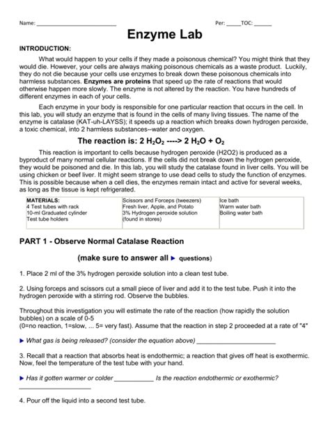 Enzyme Lab Catalase Activity Reaction Rates