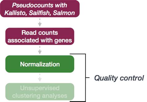 Count Normalization With Deseq2 Introduction To Dge Archived