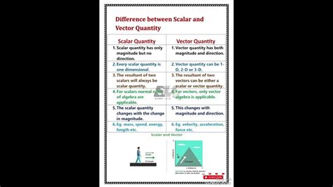 Difference Between Scalar And Vector Quantity Class 11 Youtube
