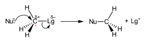 Chem 232 Exam 3 Flashcards Quizlet