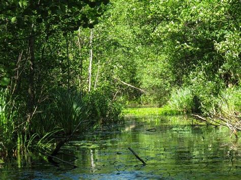 I Just Published An Article That Explains The Benefits Of Kubernetes Namespaces Such As