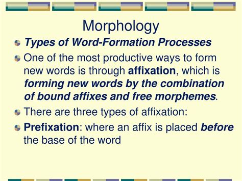 Ppt Morphology Powerpoint Presentation Free Download Id 4724558