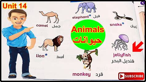 الدرس الأولالوحدة 14انجليزي الصف الأول الإبتدائيالترم الثاني Youtube