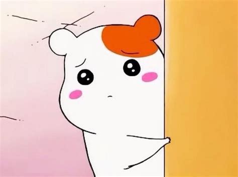 cute reactionpics 만화 햄스터 짤 애니메이션 햄스터 귀여운 동물 그림