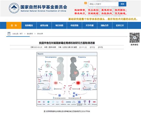 龚神海团队在cell子刊immunity发文揭示中药单体刺芒柄花素抑制妊娠期脓毒症的免疫功能紊乱 研究 Hnrnpul Merdae