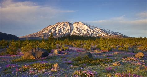 Hidden Wonders Of Mount St Helens Spirit Lake Touristsecrets