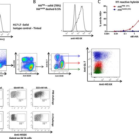 Pdf Flow Cytometric Method Measuring B Cell Surface Immunoglobulin