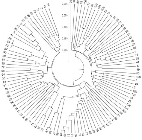 14 Dendrogram Representing The Relationships Among The 109 Wheat