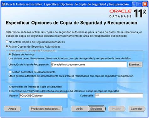 Instalar Oracle Database 11g Standard Edition En Windows Acp