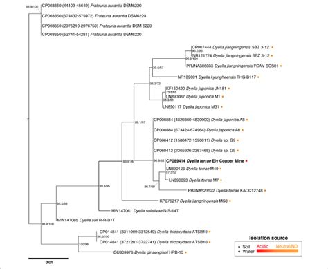 maximum likelihood tree based on near complete 16s rrna gene