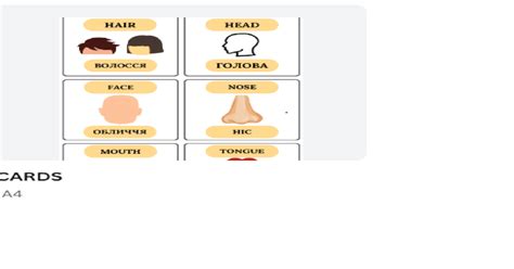 Тематичні картки з теми Частини тіла Body Parts для уроку англійської мови Різне