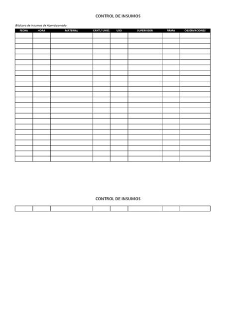 Bitacora Control De Insumos Pdf
