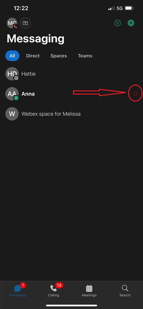 WebEx Telephone Messaging Icon Meanings Cisco Community