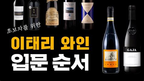 이탈리아 레드 와인 입문 순서 Feat 초보자 Youtube