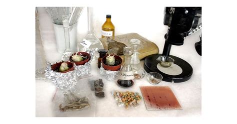 Рекордна пратка с опиум заловиха на пристанището във Ванкувър