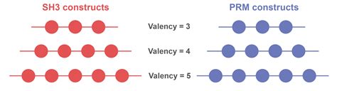 An Interactive Phase Separation Experiment