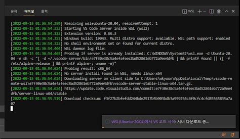 vscode 에서 wsl 개발환경 동작하지 않는 경우