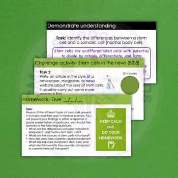Stem Cells GCSE By CMGs Science Lessons TPT