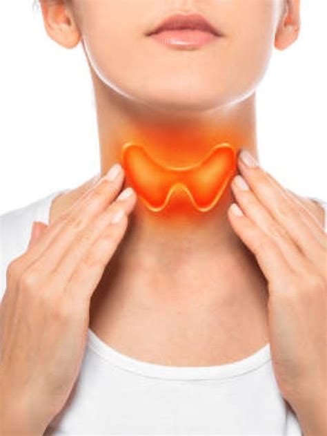 Foods To Maintain Thyroid Levels News9 Live