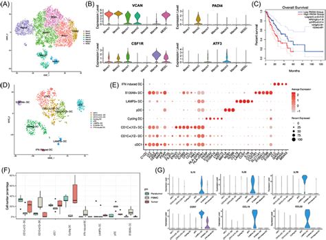 Characterisation Of Myeloid Cell Subpopulations A T‐sne Plot Showing Download Scientific