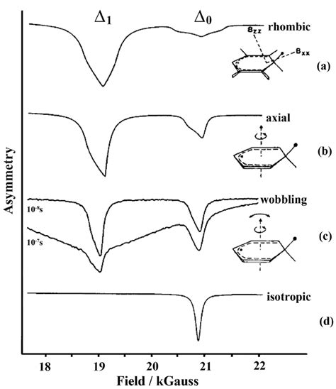 Simulations Showing The Effect Of The Molecular Motion Indicated On