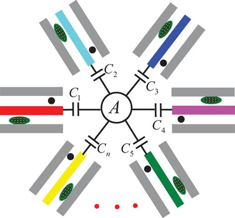 Diagram Of A Coupler Qubit A And N Cavities Each Hosting A Qubit A Download Scientific Diagram