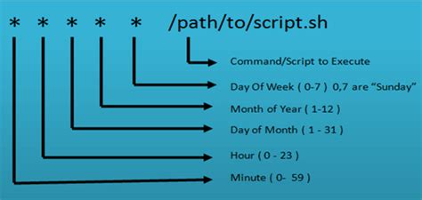 The Beginners Guide To Using Cron In Linux The Tech Edvocate